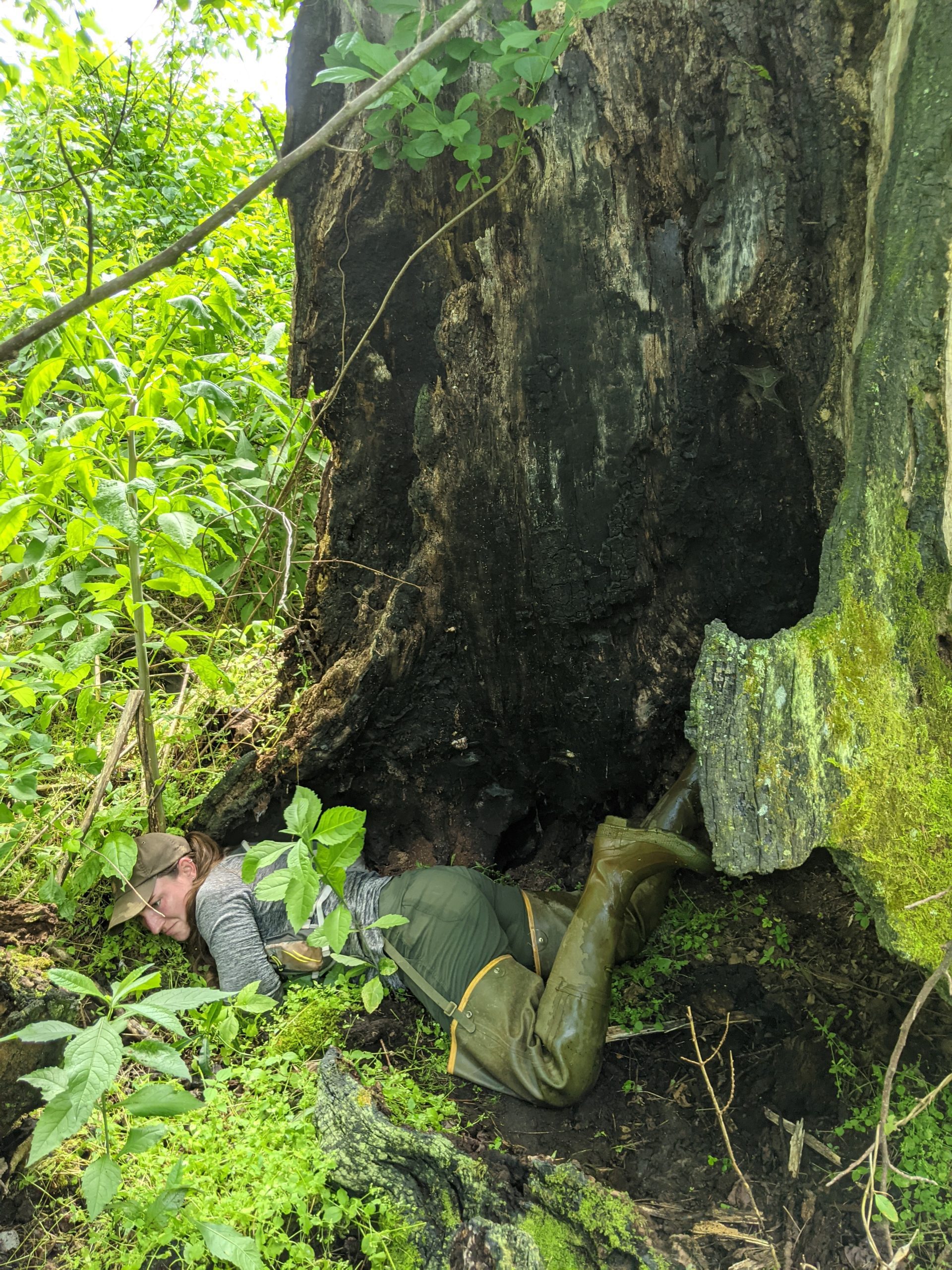 Species Conservation: Opportunity, Ingenuity, and Cooperation ...