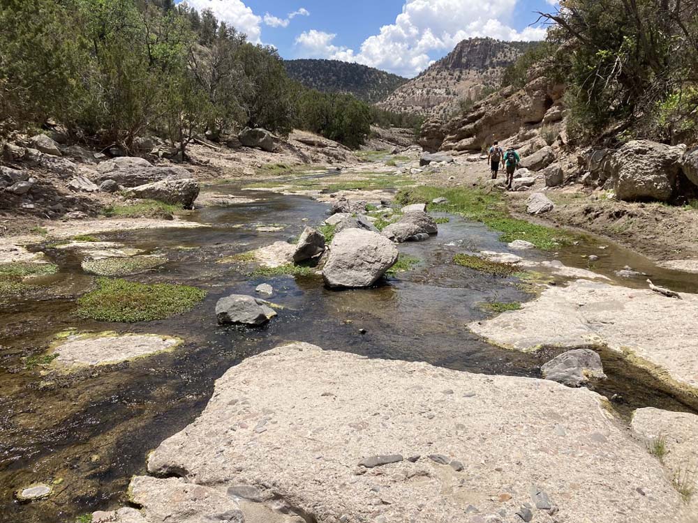 Conservation in the Land of Enchantment’s Gila PARCA - Amphibian and ...