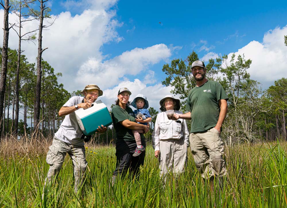 Gopher Frog Recovery: At the Edge of a Precipice - Amphibian and ...