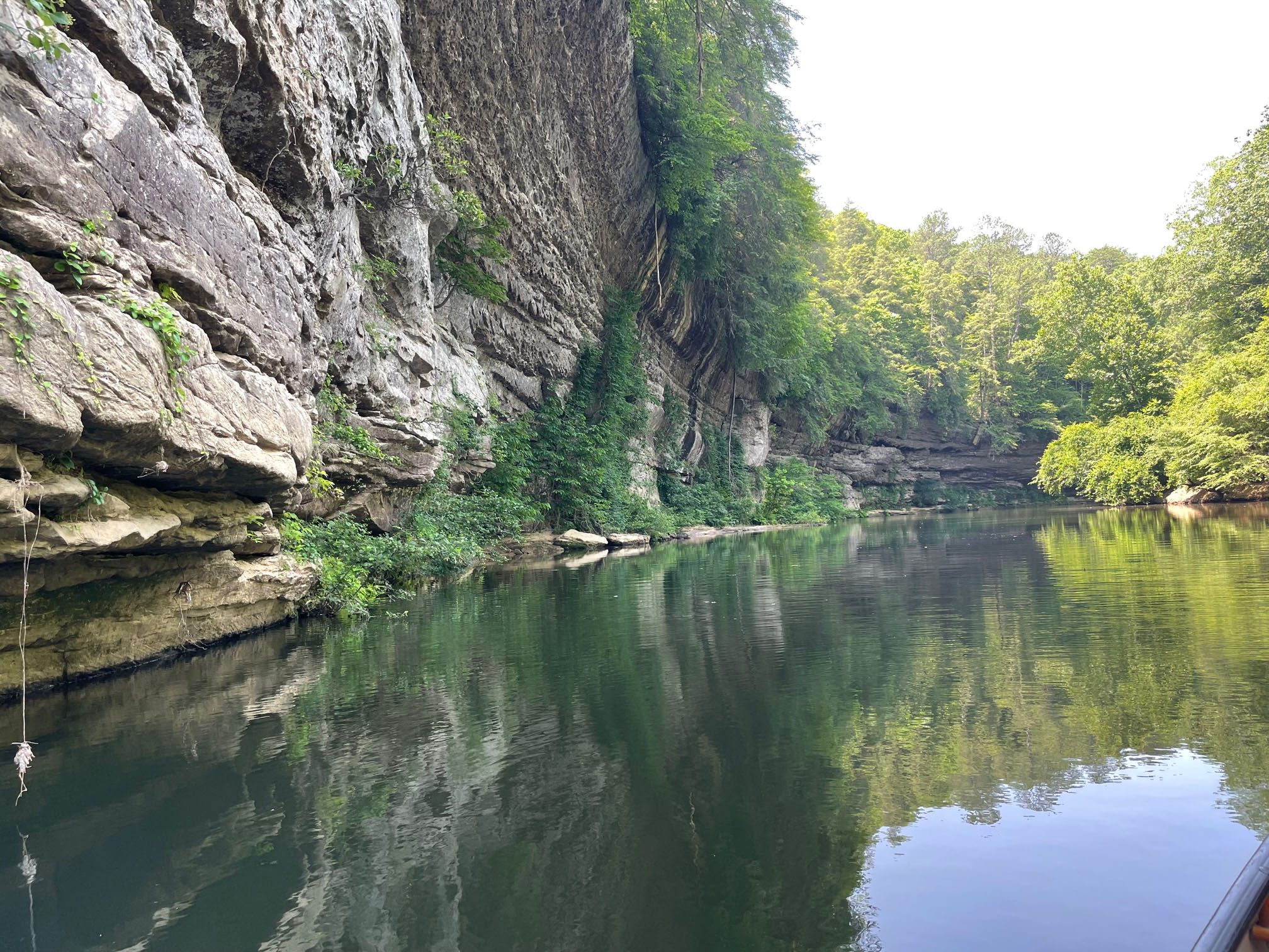 Protecting Alabama’s Ancient Wild Legacy in the Bankhead PARCA ...